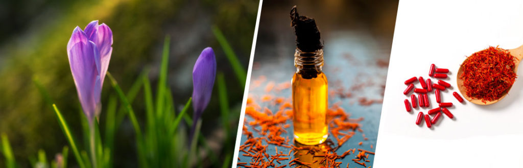 Kesar or Saffron usage, dosage, side-effects, and US places to buy.