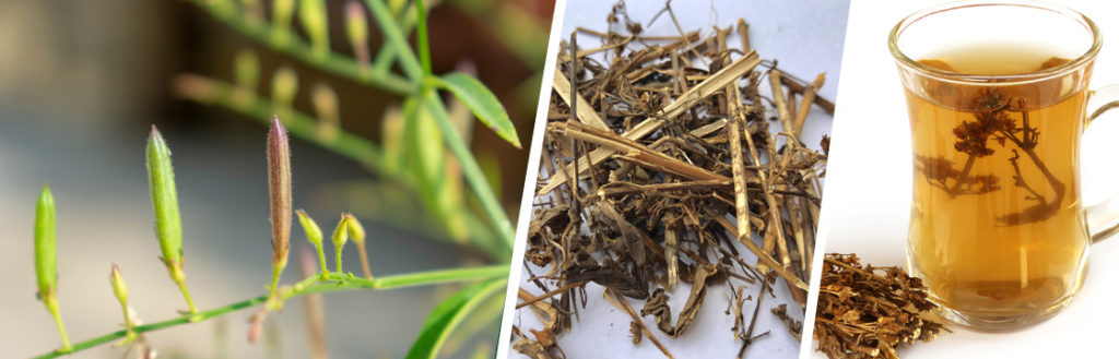 Chirata usage, dosage, side-effects, and US places to buy.