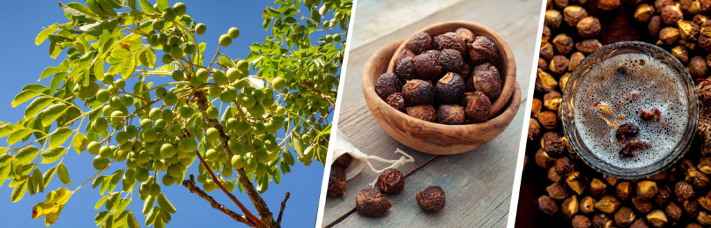 Reetha usage, dosage, side-effects, and US places to buy.